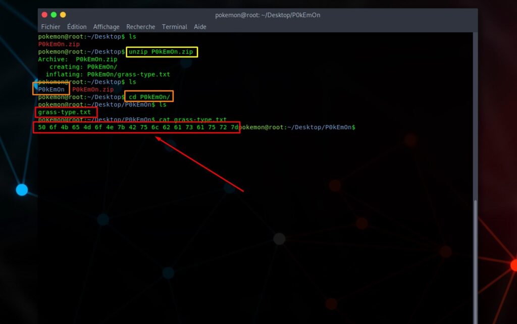Pokemon - Gotta Catch'em All!! - Write Up - HackinGeeK